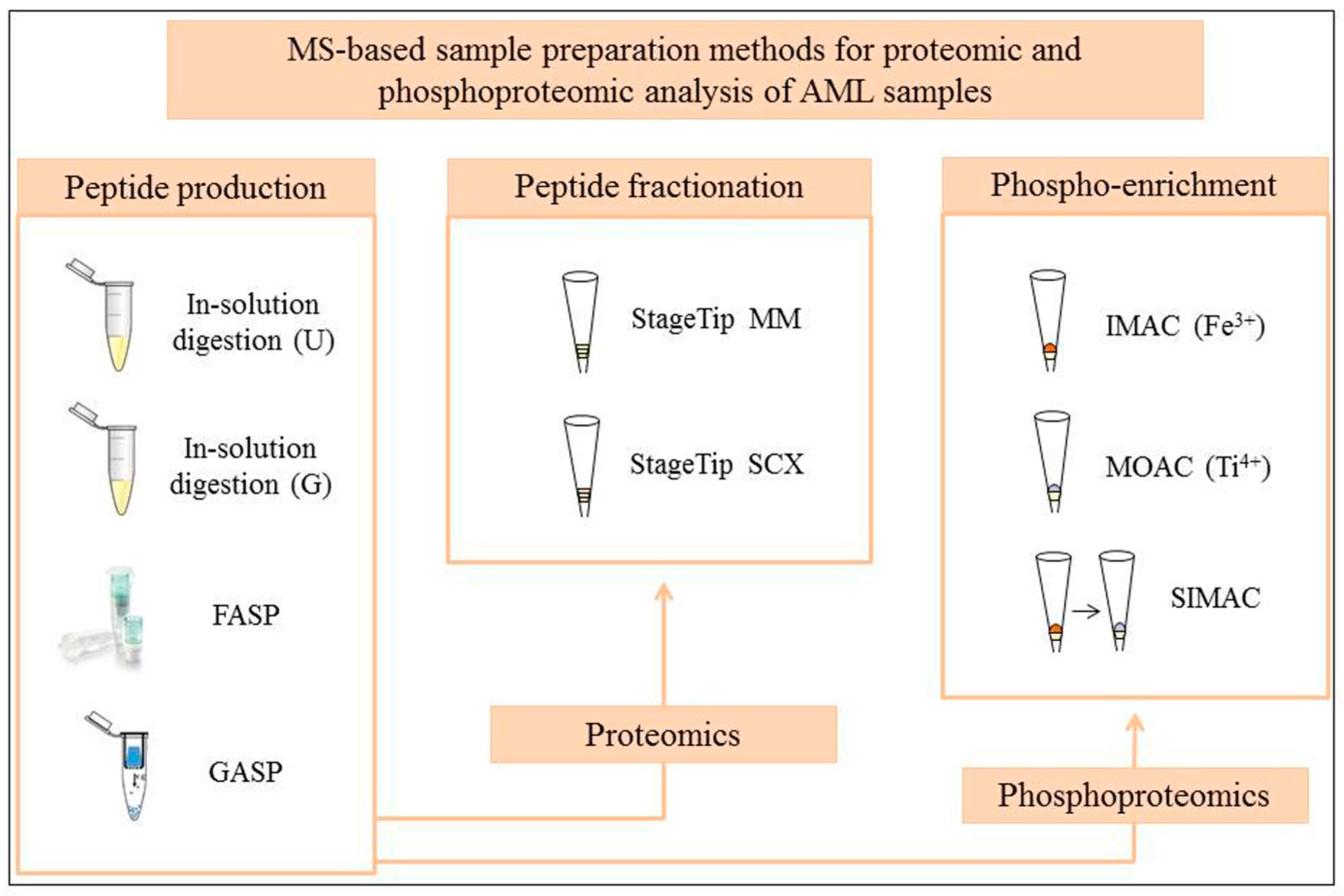 Proteomes | Free Full-Text | Selecting Sample Preparation Workflows for ... Proteomes | Free Full-Text | Selecting Sample Preparation Workflows for ...
