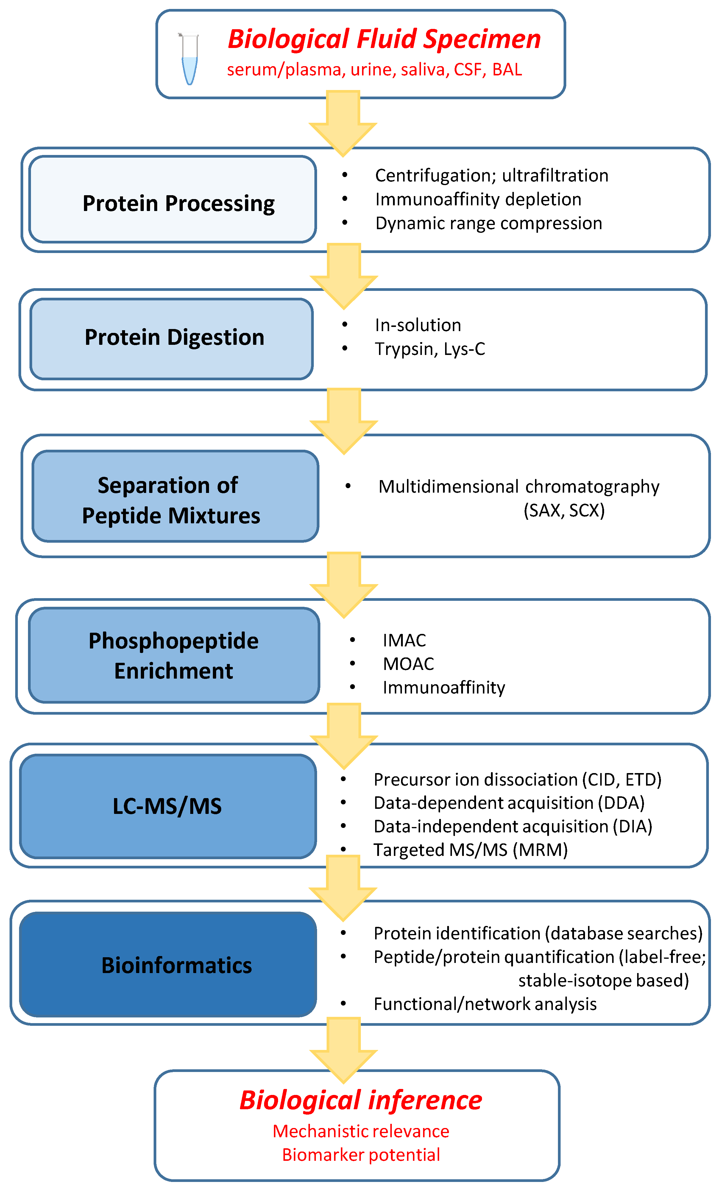 Proteomes | Free Full-Text | Phosphoproteome Discovery in Human ... Proteomes | Free Full-Text | Phosphoproteome Discovery in Human ...