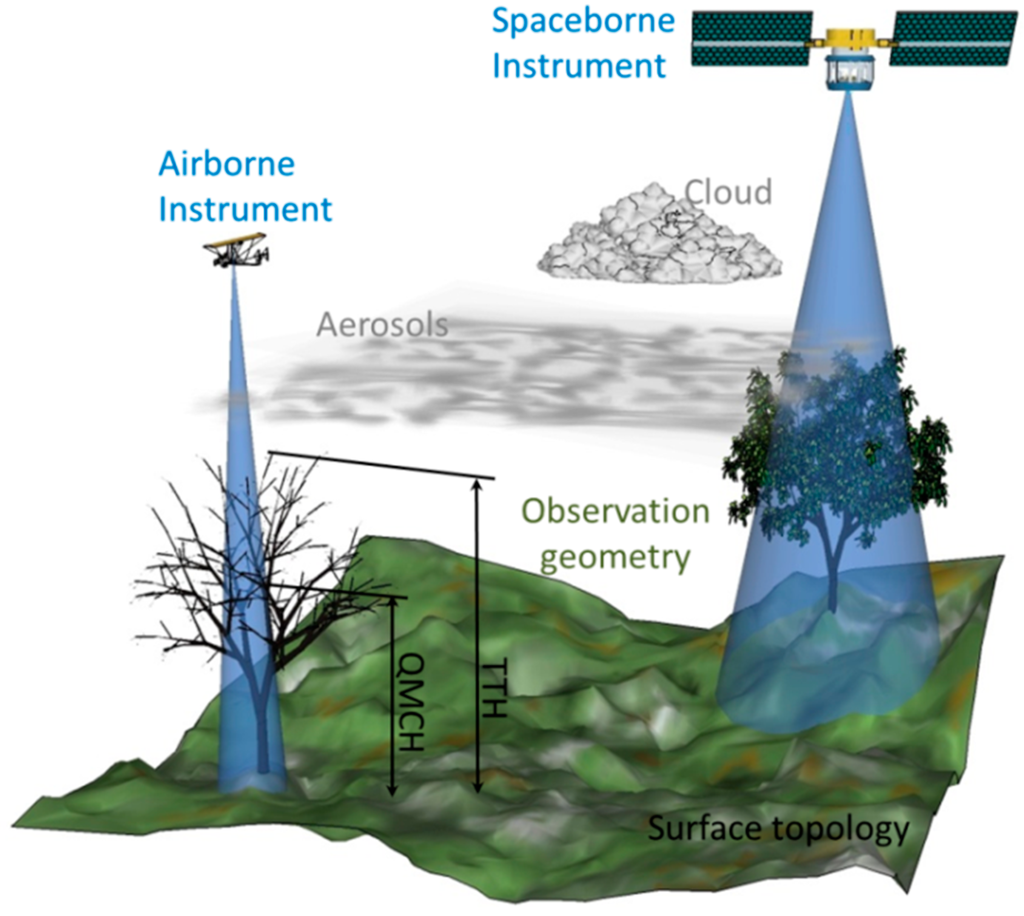 Remote Sensing | Free Full-Text | End-to-End Simulation for a Forest ... Remote Sensing | Free Full-Text | End-to-End Simulation for a Forest ...