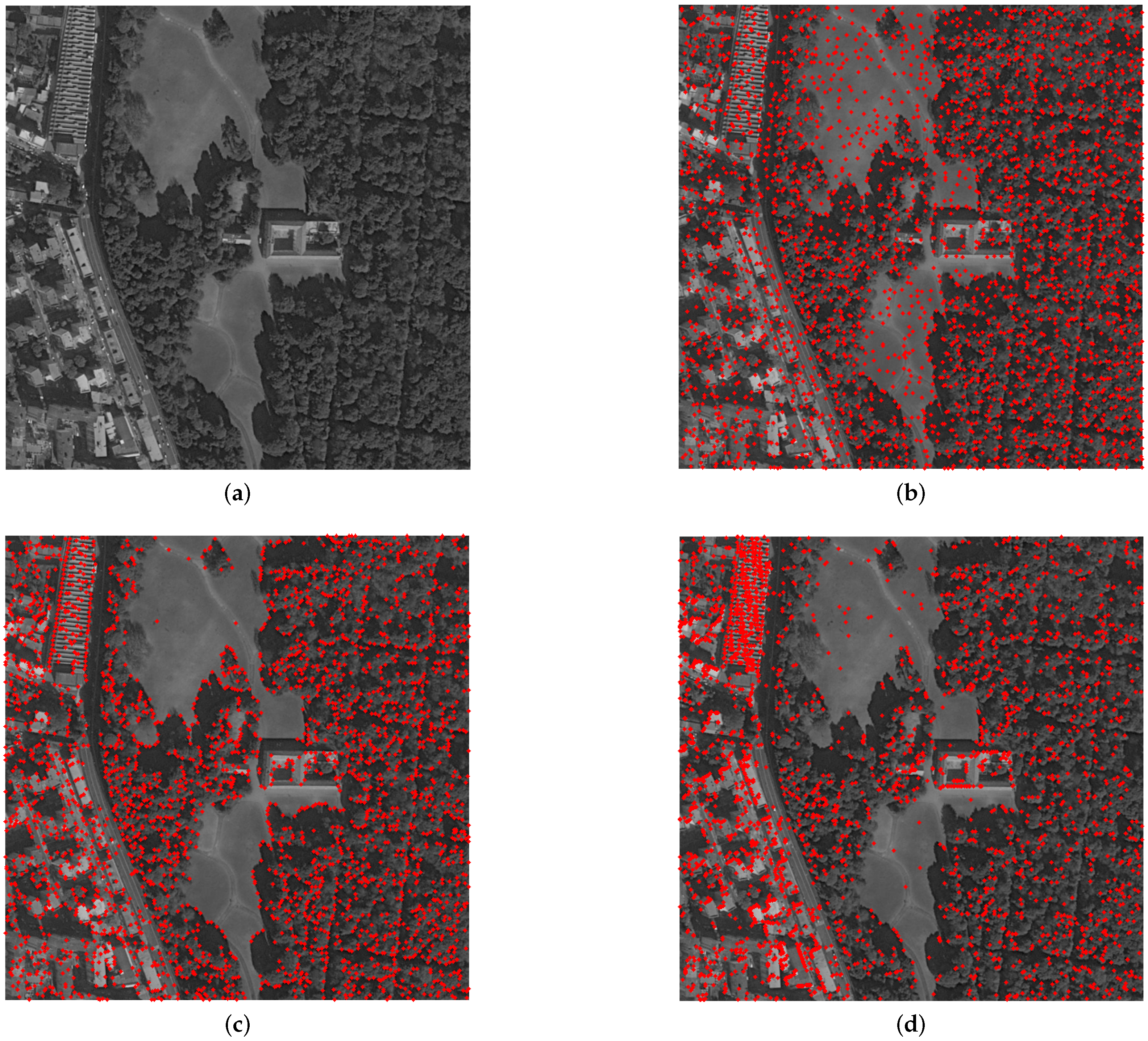 Remote Sensing | Free Full-Text | Texture Retrieval from VHR Optical ... Remote Sensing | Free Full-Text | Texture Retrieval from VHR Optical ...