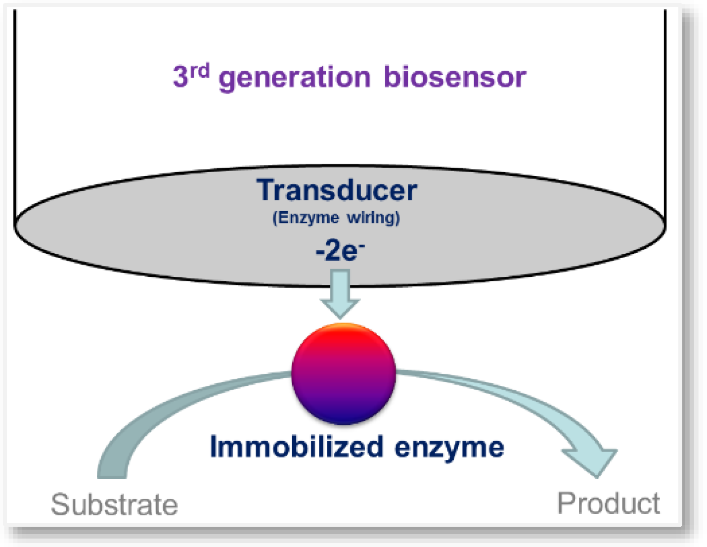 Sensors Free Full Text Enzyme Biosensors For Biomedical