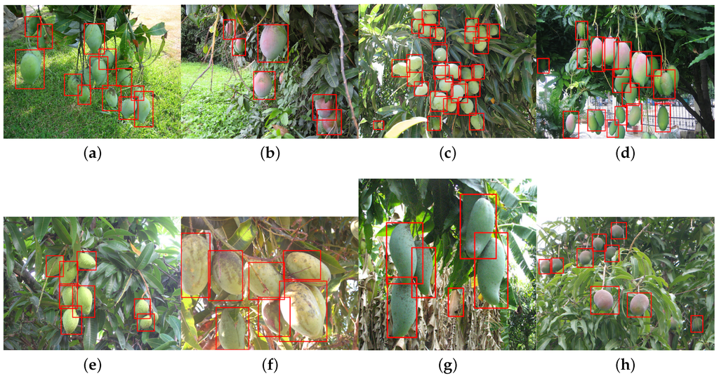Sensors Free Full Text Deepfruits A Fruit Detection System Using
