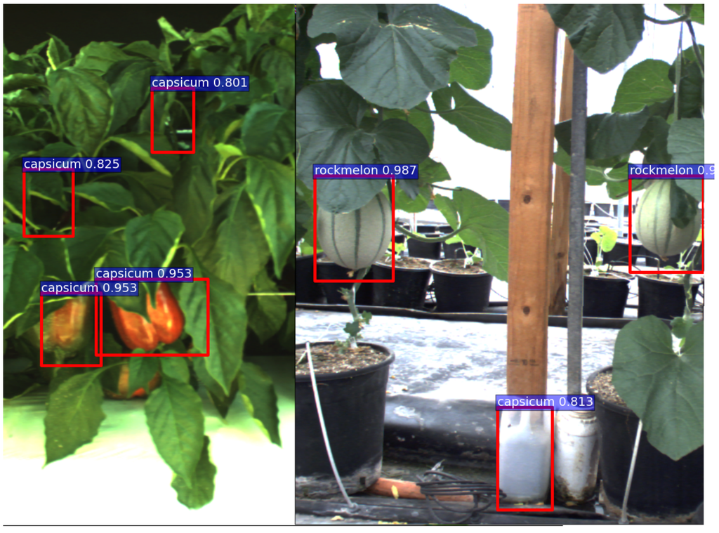 Sensors Free Full Text Deepfruits A Fruit Detection System Using
