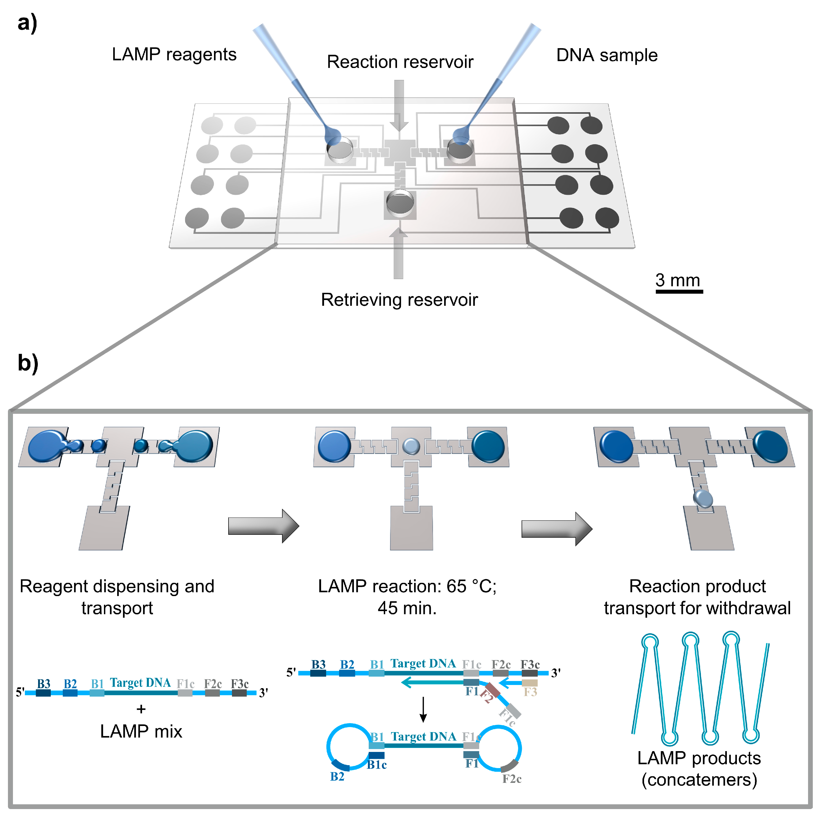 Sensors | Free Full-Text | A Digital Microfluidics Platform for Loop ... Sensors | Free Full-Text | A Digital Microfluidics Platform for Loop ...