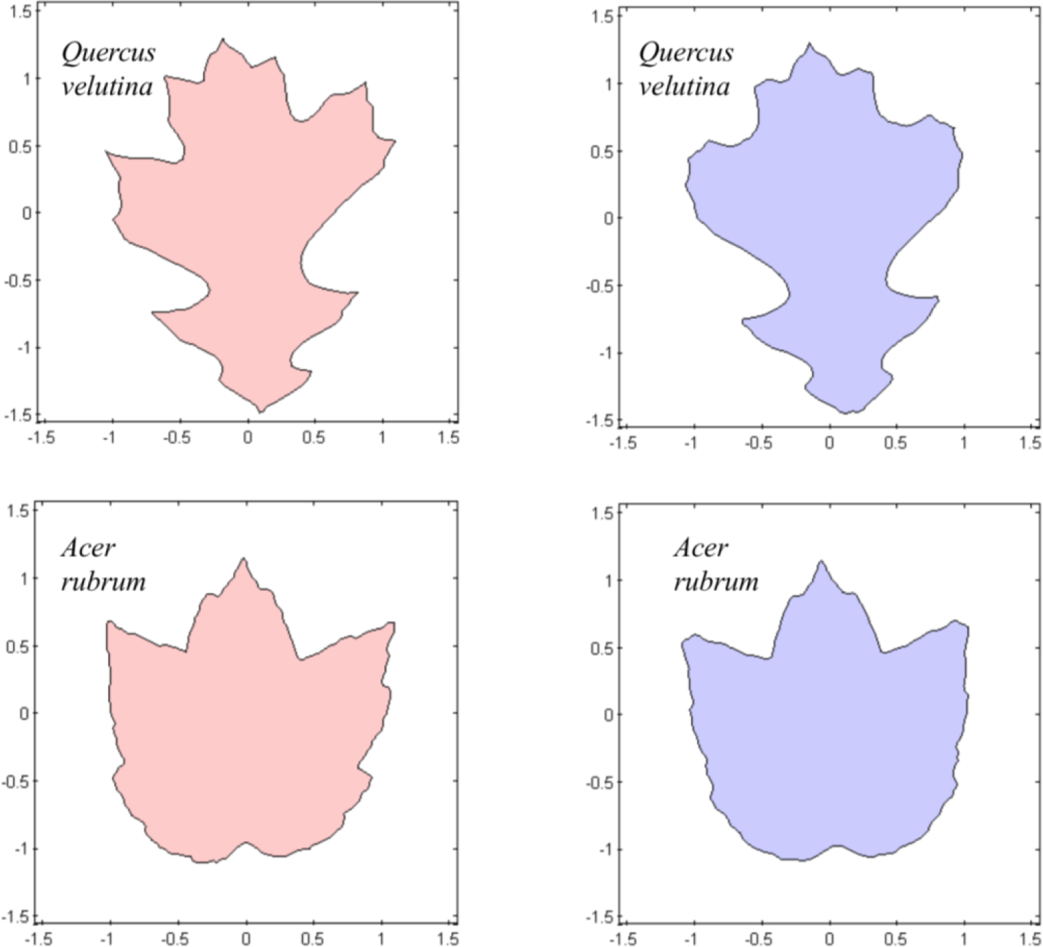 Symmetry Free Full Text Fluctuating Asymmetry Of Plant Leaves