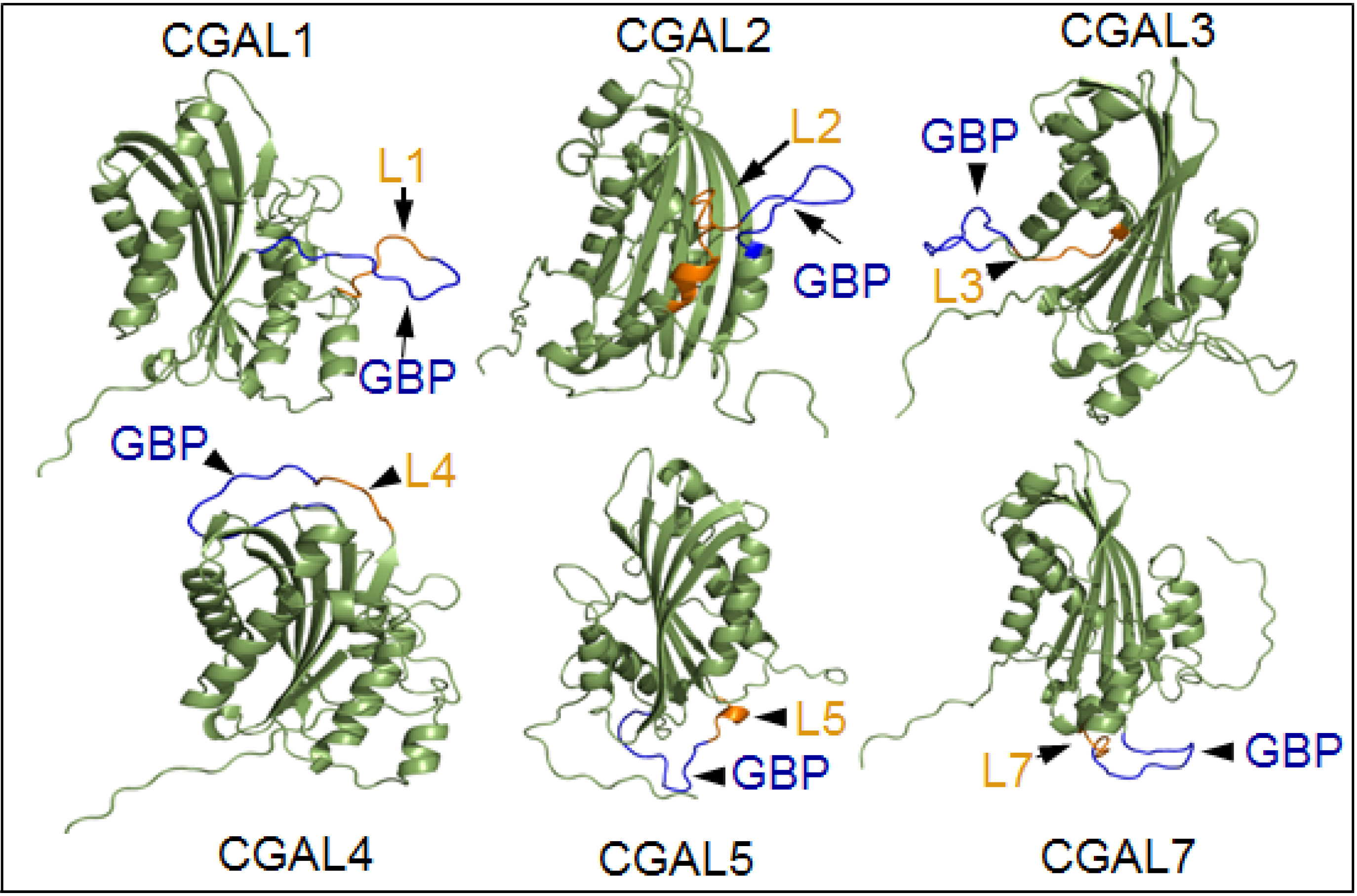 Toxins Free Full Text Bt Toxin Modification For Enhanced Efficacy