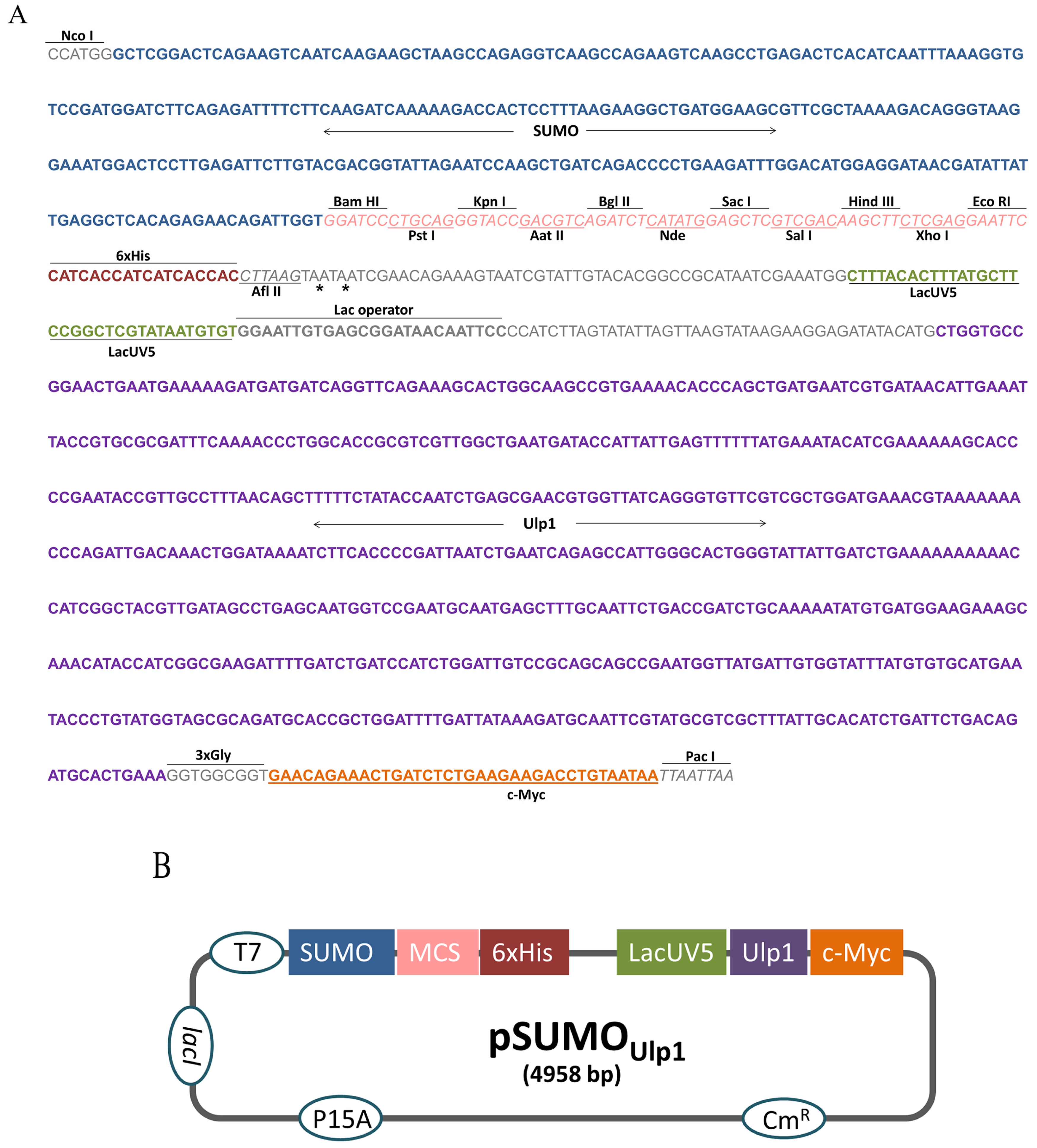 Toxins Free Full Text Toxin Fused With Sumo Tag A New Expression