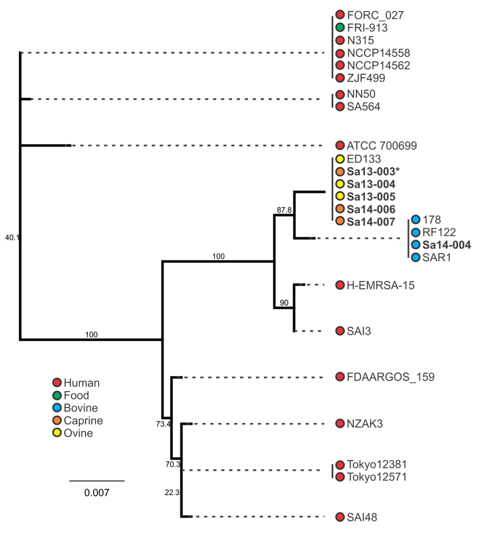 Toxins Free Full Text Characterization Of Enterotoxigenic Bacillus Cereus Sensu Lato And