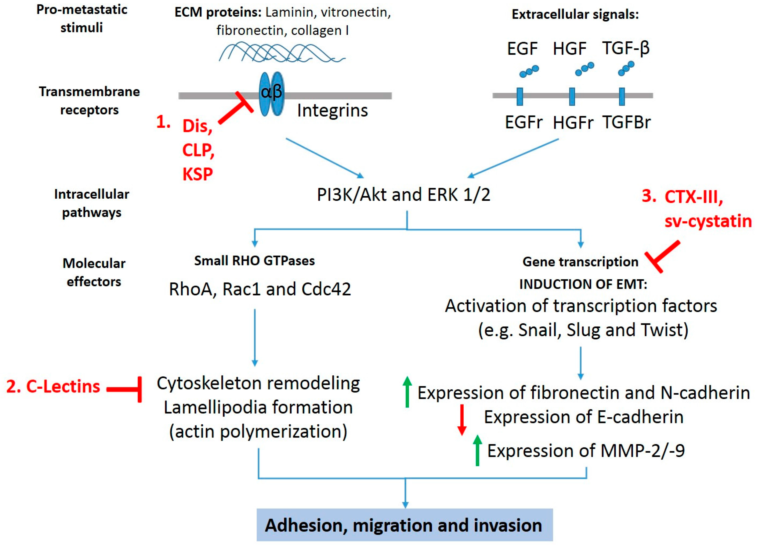 Toxins | Free Full-Text | Targeting Metastasis with Snake Toxins ... Toxins | Free Full-Text | Targeting Metastasis with Snake Toxins ...