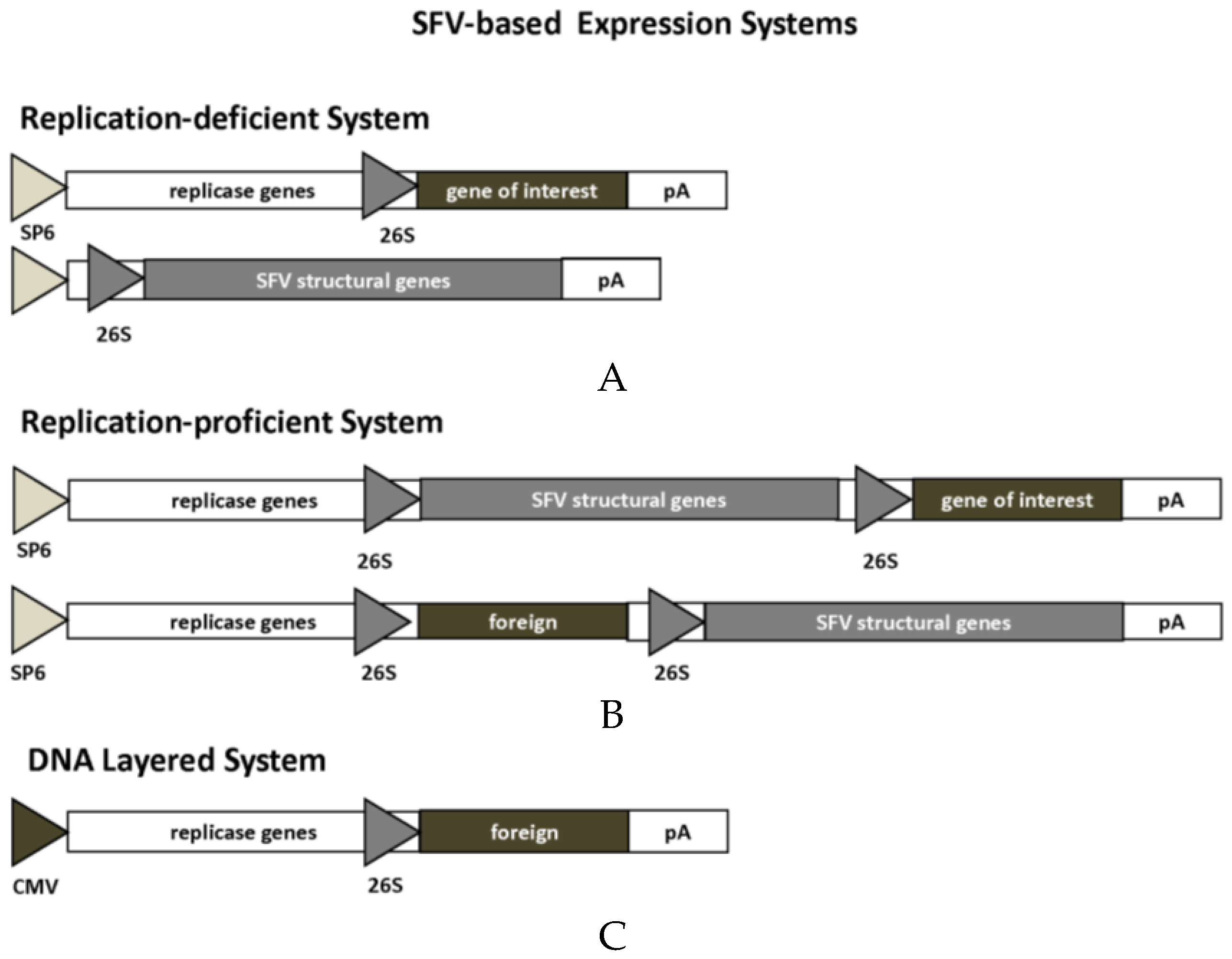 Vaccines | Free Full-Text | Replicon RNA Viral Vectors as Vaccines Vaccines | Free Full-Text | Replicon RNA Viral Vectors as Vaccines