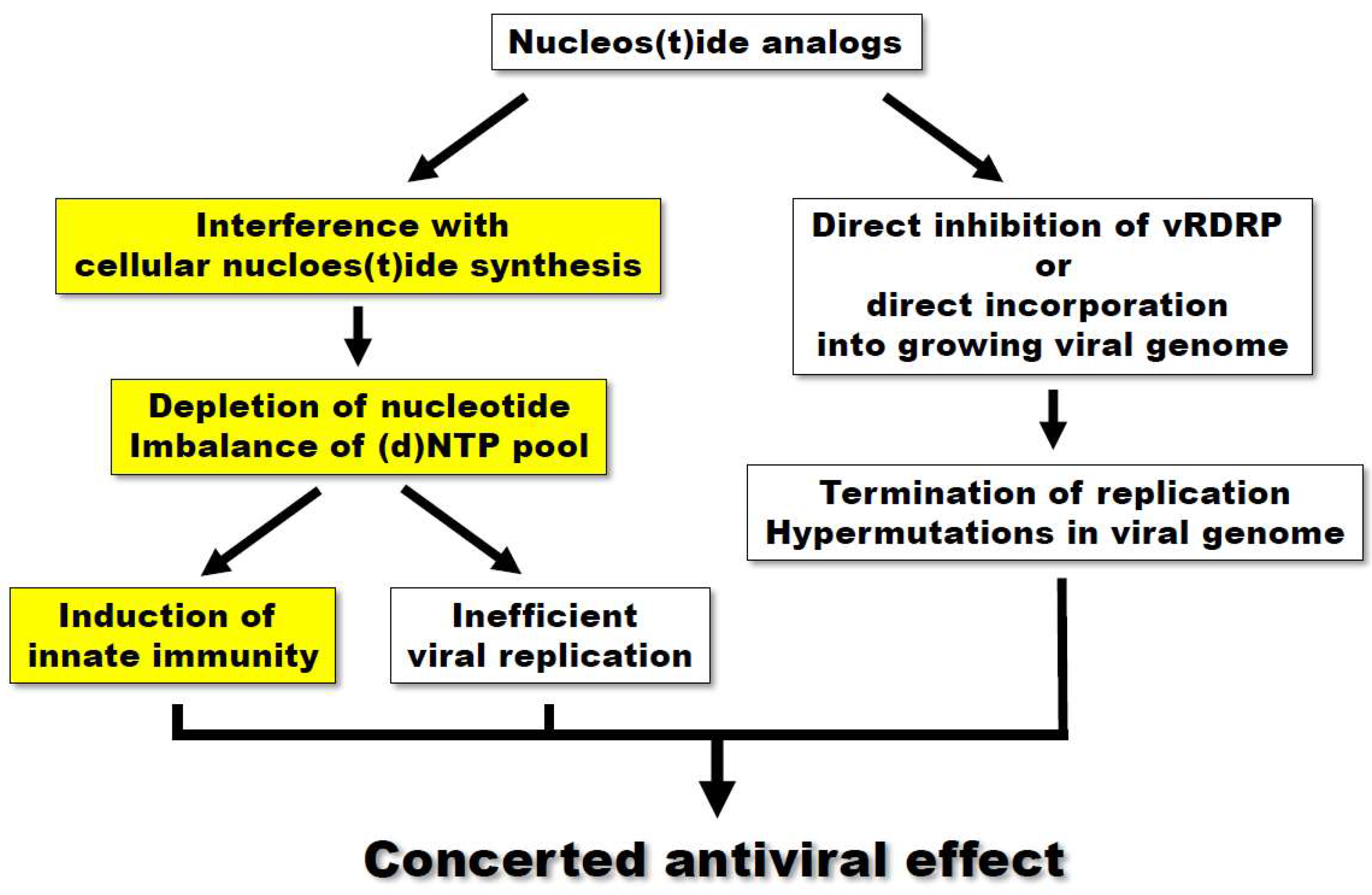 Viruses | Free Full-Text | Gemcitabine and Nucleos(t)ide Synthesis ... Viruses | Free Full-Text | Gemcitabine and Nucleos(t)ide Synthesis ...