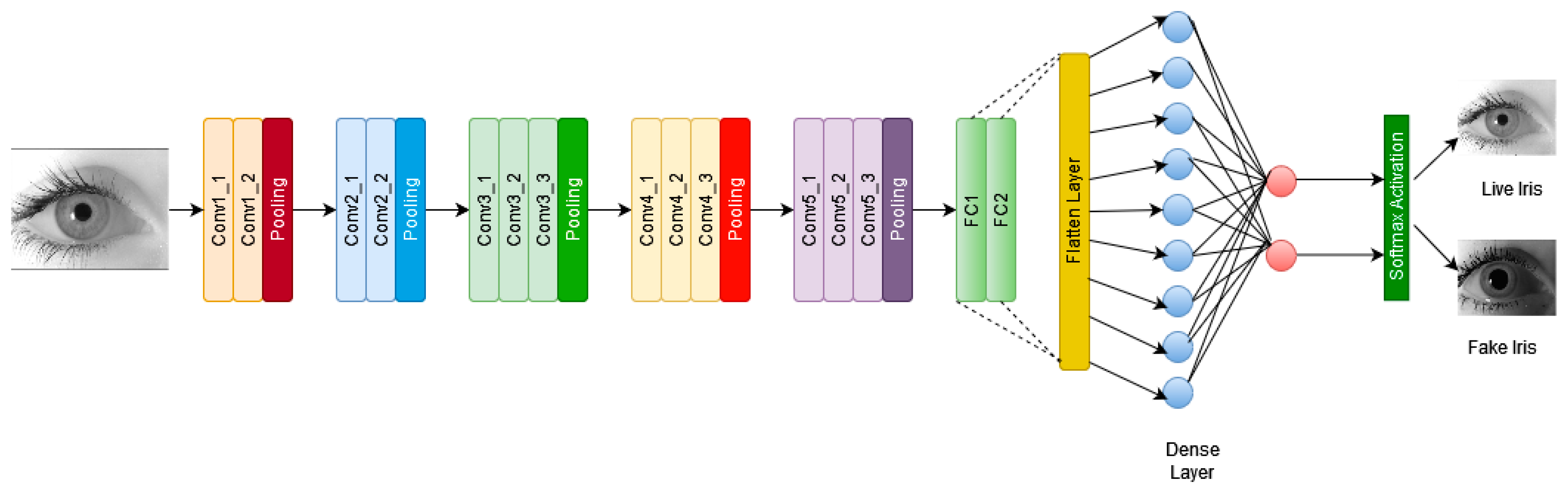 Iris Liveness Detection Using Multiple Deep Convolution Networks