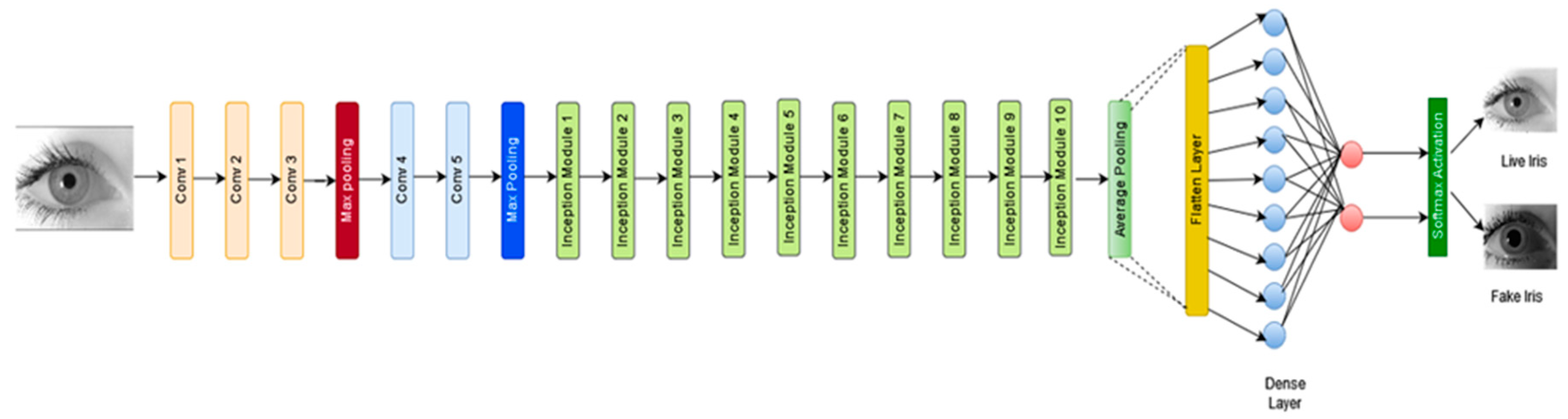 Iris Liveness Detection Using Multiple Deep Convolution Networks