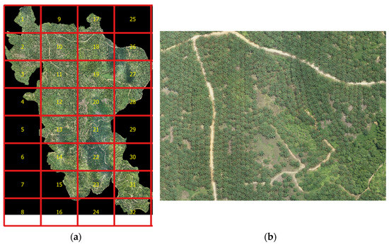 Large-Scale Oil Palm Trees Detection from High-Resolution Remote ...