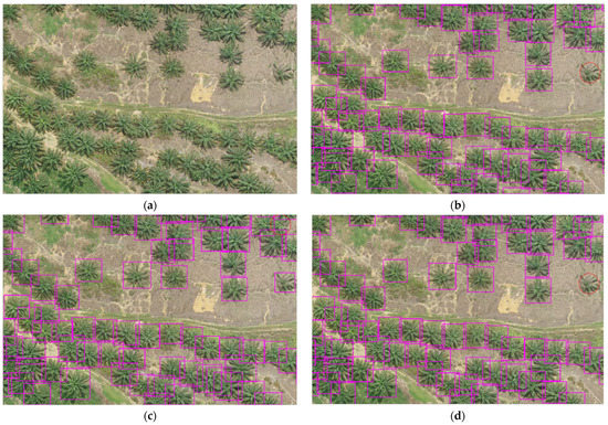 Large-Scale Oil Palm Trees Detection from High-Resolution Remote ...