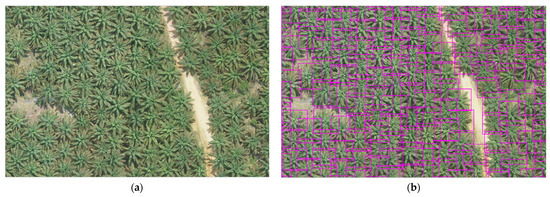 Large-Scale Oil Palm Trees Detection from High-Resolution Remote ...