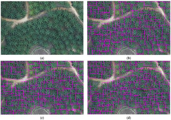 Large-Scale Oil Palm Trees Detection from High-Resolution Remote ...