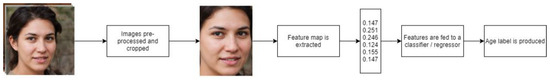 Facial Age Estimation Using Machine Learning Techniques: An Overview