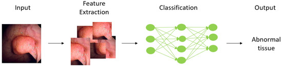 BDCC | Free Full-Text | Predicting Colorectal Cancer Using Machine and ...