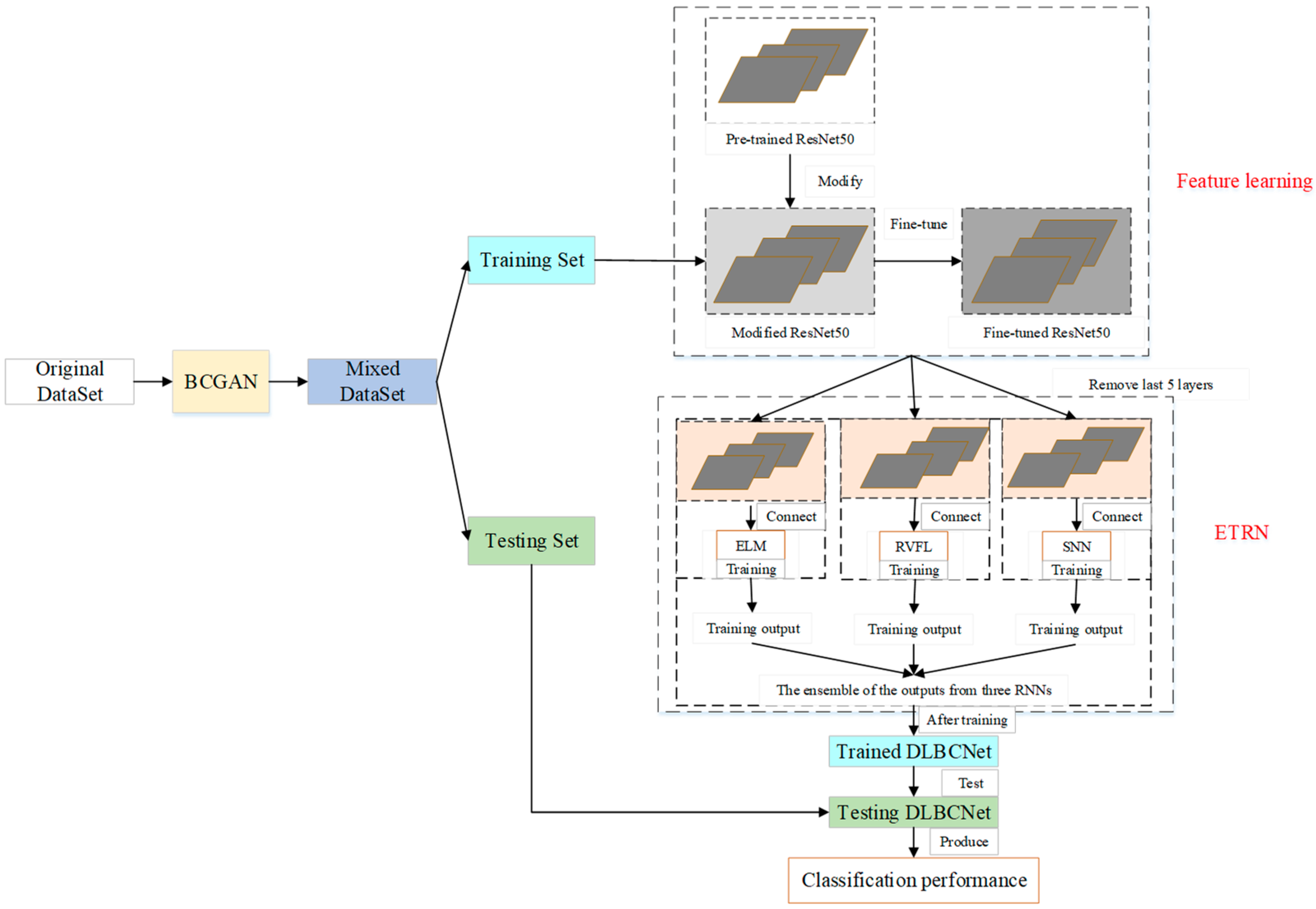 DLBCNet: A Deep Learning Network for Classifying Blood Cells