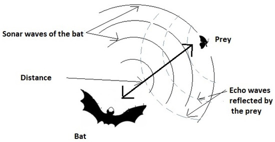 BDCC | Free Full-Text | An Intelligent Bat Algorithm for Web Service Selection with QoS Uncertainty