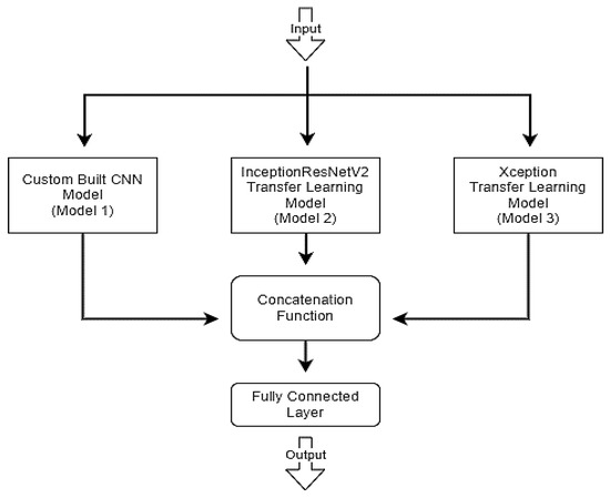 BDCC | Free Full-Text | Breast Cancer Classification Using Concatenated ...