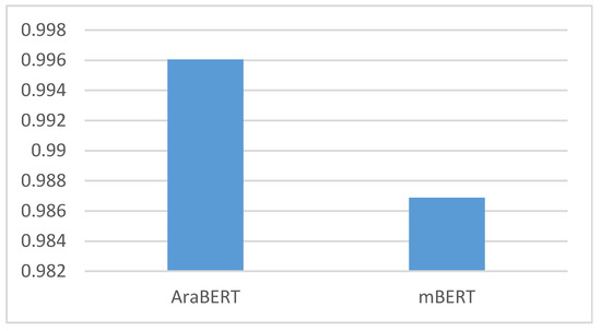Arabic Toxic Tweet Classification: Leveraging the AraBERT Model