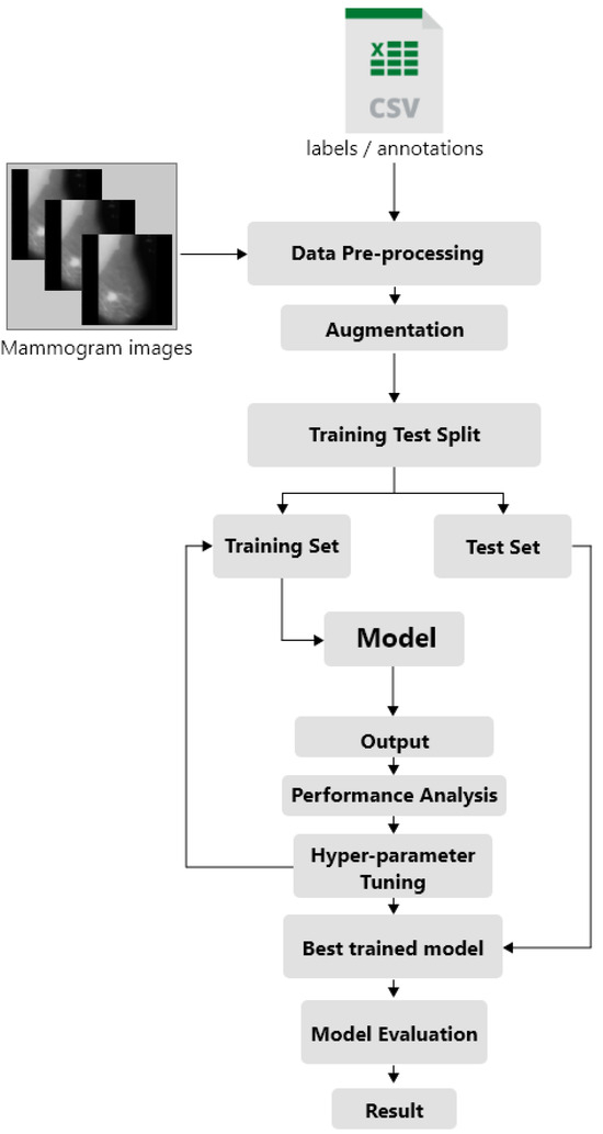 Breast Cancer Detection and Localizing the Mass Area Using Deep Learning