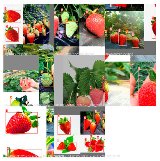 Strawberry Ripeness Detection Using Deep Learning Models