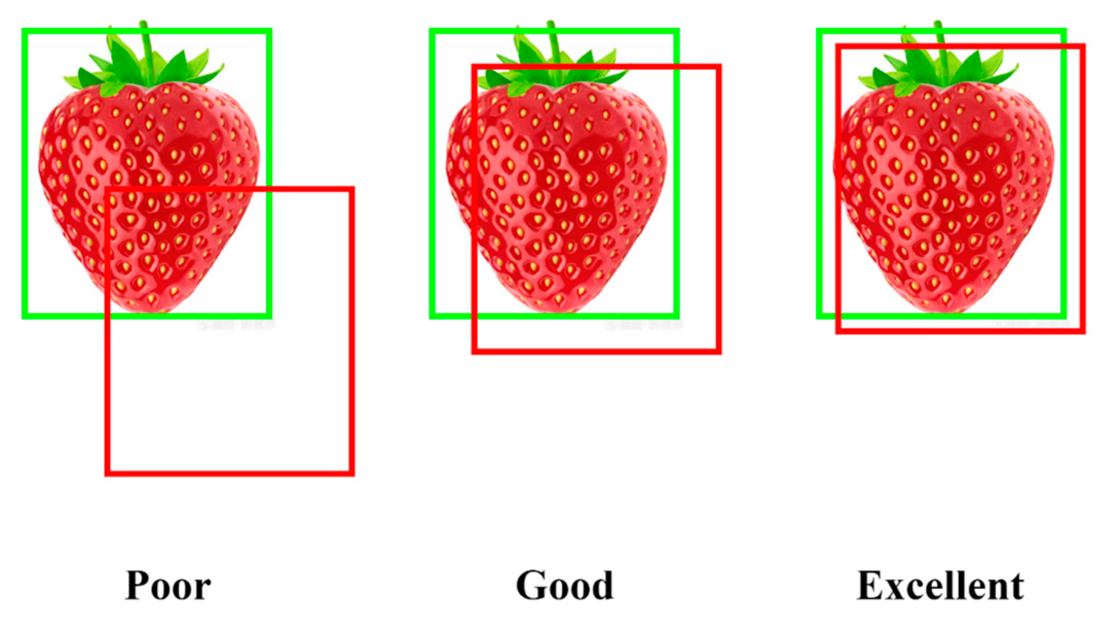 Strawberry Ripeness Detection Using Deep Learning Models