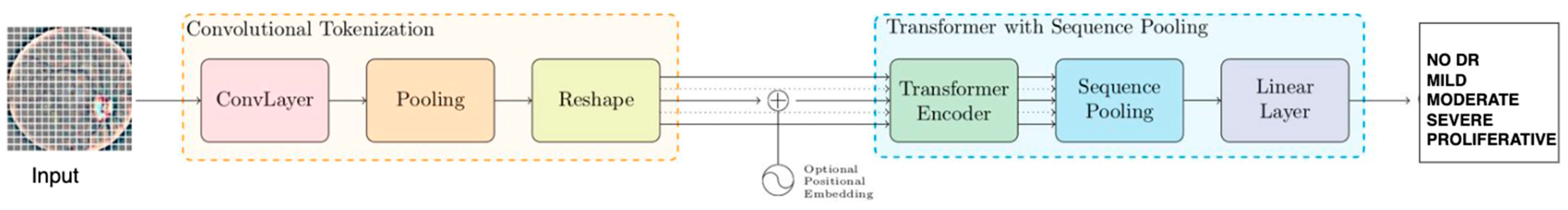 DRCCT: Enhancing Diabetic Retinopathy Classification with a Compact Convolutional Transformer