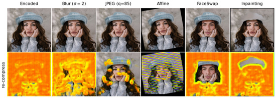 A Secure Learned Image Codec for Authenticity Verification via Self-Destructive Compression