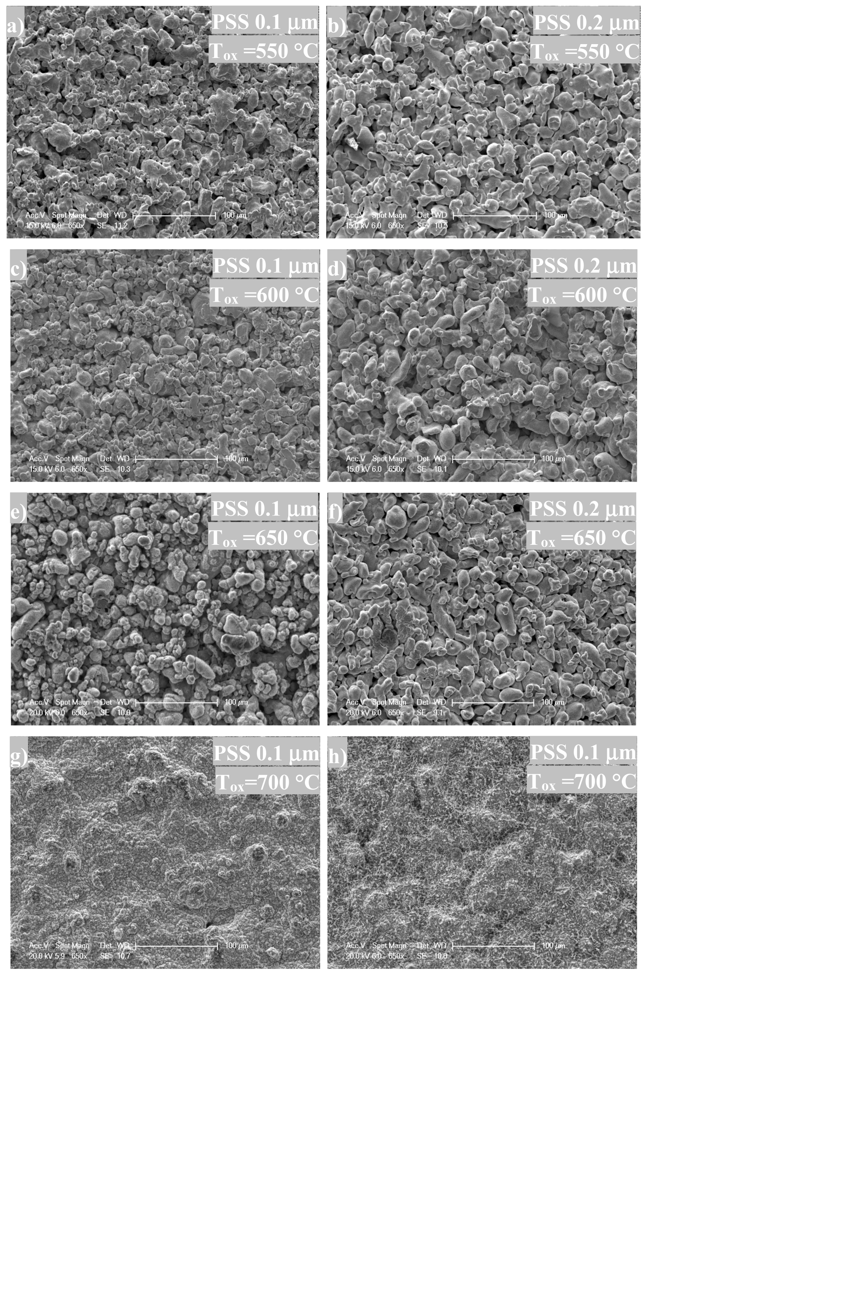ChemEngineering | Free Full-Text | Interlayer Properties of In-Situ ...