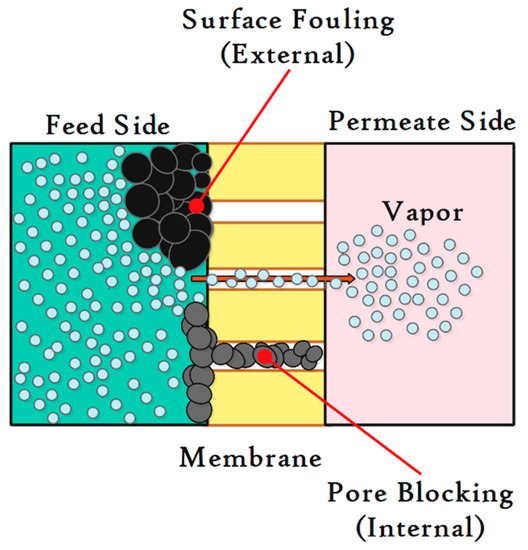 Water and Wastewater Treatment Systems by Novel Integrated Membrane ...