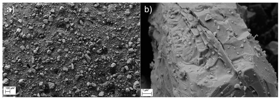 Use of Calcined Dolomite as Chemical Precipitant in the Simultaneous ...
