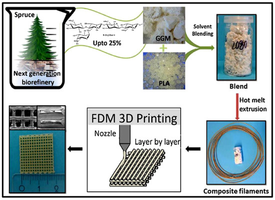 ChemEngineering | Free Full-Text | An Overview of Natural Polymers as ...