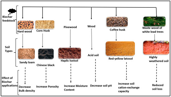 Agricultural Biomass Waste to Biochar: A Review on Biochar Applications Using Machine Learning ...
