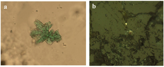 Study of Factors Affecting the Copper Ore Leaching Process