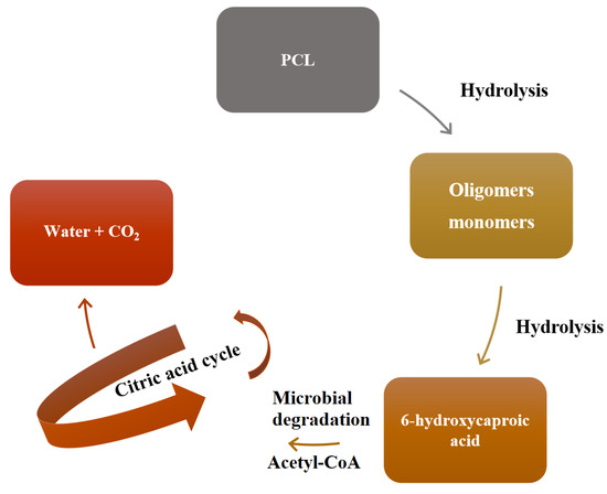 Polycaprolactone Composites/Blends and Their Applications Especially in ...
