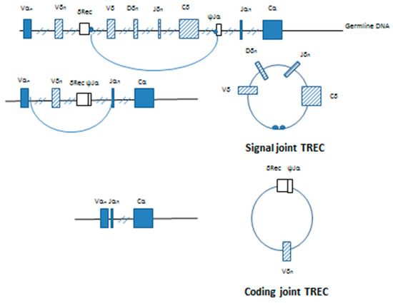 Newborn Screening for Severe Combined Immunodeficiency-A History of the ...