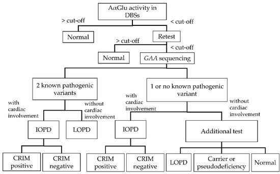 IJNS | Free Full-Text | Newborn Screening for Pompe Disease