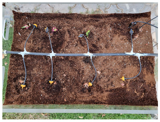 IoT | Free Full-Text | IoT-Enabled Smart Drip Irrigation System Using ESP32