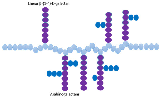 Potential Roles of Modified Pectin Targeting Galectin-3 against Severe ...