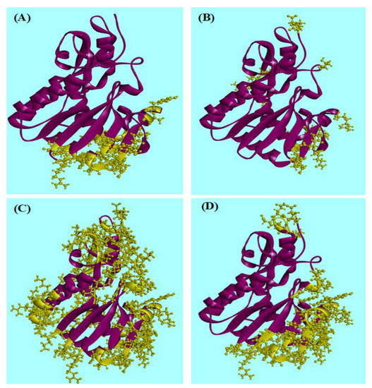 Reducing the Immunogenicity of Pulchellin A-Chain, Ribosome ...