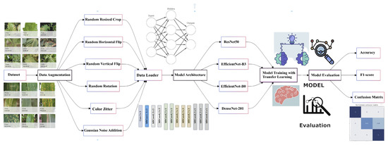 Plant Leaf Disease Detection Using Deep Learning: A Multi-Dataset Approach