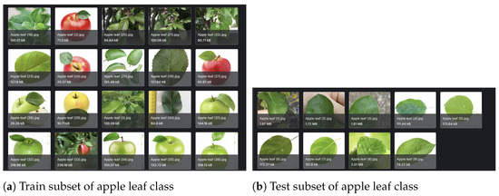 Plant Leaf Disease Detection Using Deep Learning: A Multi-Dataset Approach