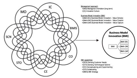 Business Model Innovation in Established SMEs: A Configurational Approach