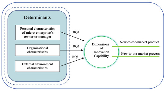 What Shapes Innovation Capability in Micro-Enterprises? New-to-the ...