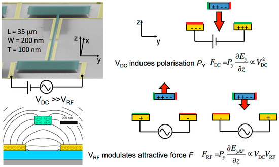 An Acoustoelectric Approach to Neuron Function