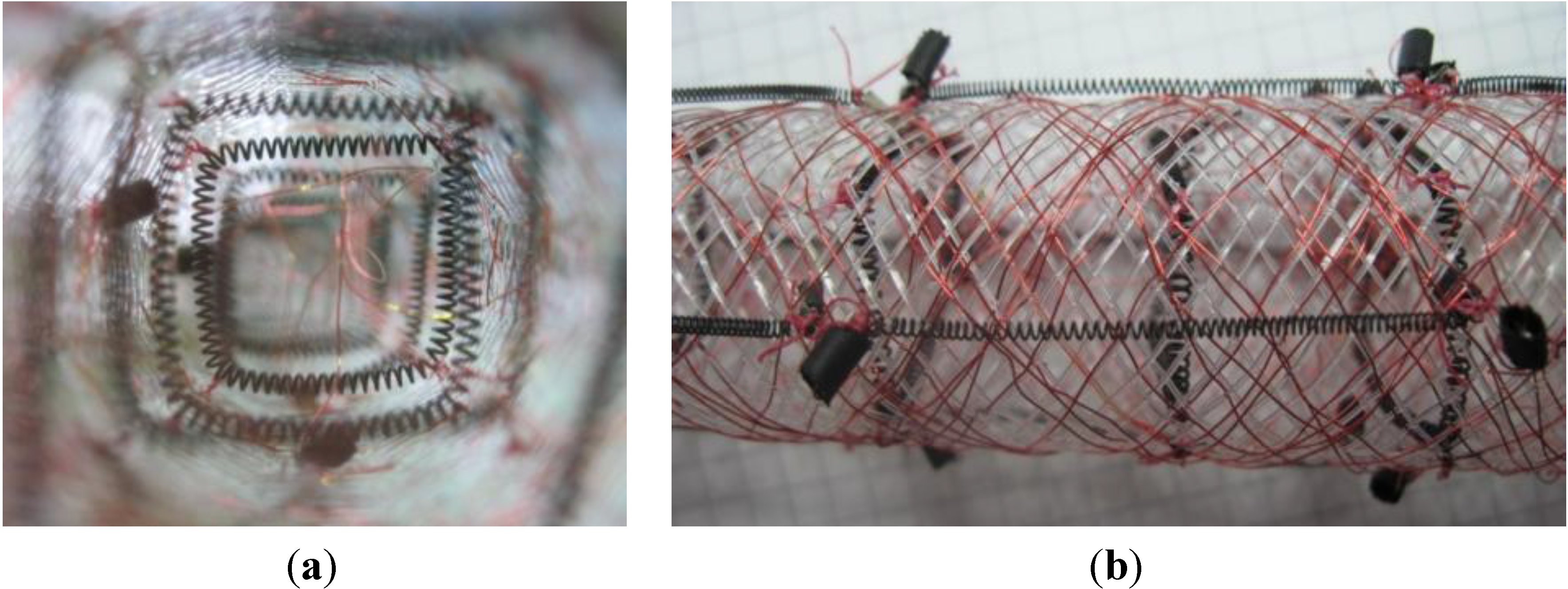 Bioinspired Soft Actuation System Using Shape Memory Alloys